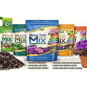 Organic African Violet Potting Mix - Made in USA with Premium Grade Ingredients - Coco Peat Humus • Perlite • Vermiculite • Horticultural Biochar Charcoal to Improve Plant Growth