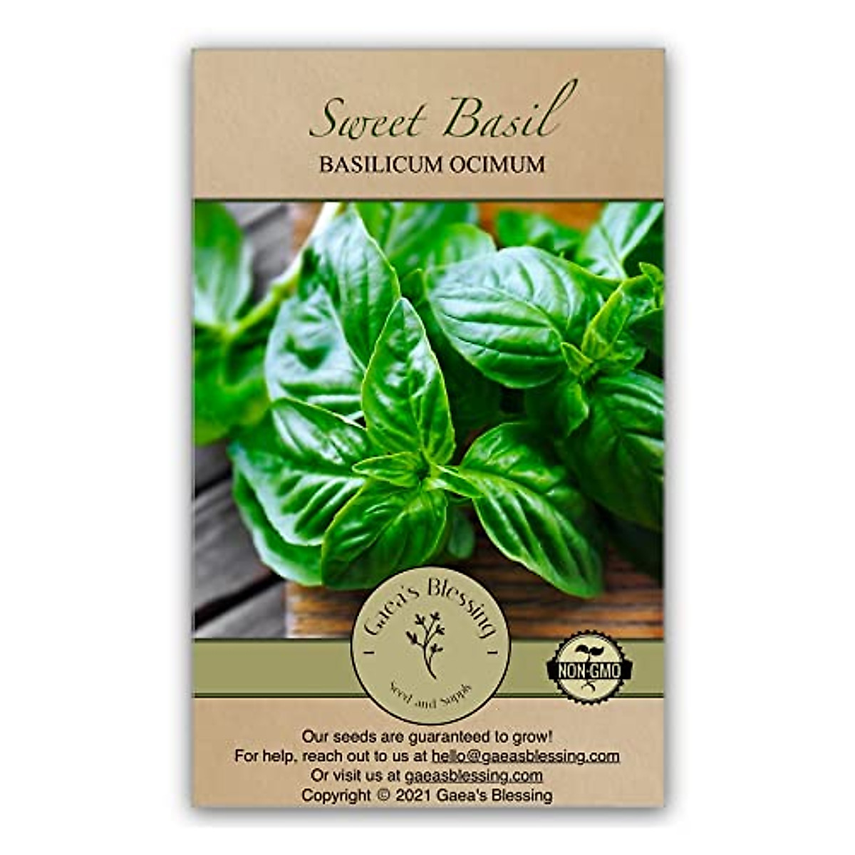 Gaea's Blessing Seeds - Sweet Basil Seeds - Non-GMO Large Leaf Italian Heirloom Genovese Pesto Open-Pollinated High Yield 87% Germination Rate 2.5g (Single Pack)