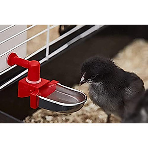 No-Drip 32 Oz Small Animal Drinking Bottle with Metal Cup for Small Pet/Bunny/Ferret/Hamster/Guinea Pig/Rabbit/Chinchilla/Mouse/Rat. BPA-Free.