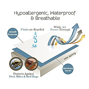 SafeRest Premium 9" Thick Box Spring Encasement - Waterproof - Breathable, Noiseless and Vinyl Free - Fits Up to 9" - Queen