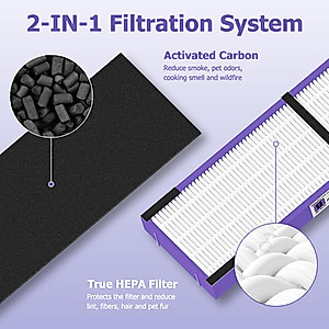 FLT4850PT HEPA Filter B Replacement Compatible with AC4825 AC4300 AC4800 AC4900 AC4850, 4 True HEPA Filters & 8 Activated Carbon Pre-Filters, Pet Pure Version, Purple