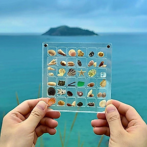 SISIRONG Acrylic Magnetic Seashell Display Box，2024 New 36/64/100 Grids Clear Acrylic Seashell Display Box，Small Craft Organizers Container for Bead, Nail, Jewelry ( Color : 100 Grids ), 1233344