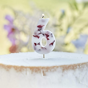 Ginger Ray Pressed Petal Number 6 Birthday Party Candle