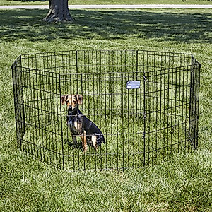 MidWest Foldable Metal Dog Exercise Pen / Pet Playpen, 24"W x 30"H, 1-Year Manufacturer's Warranty