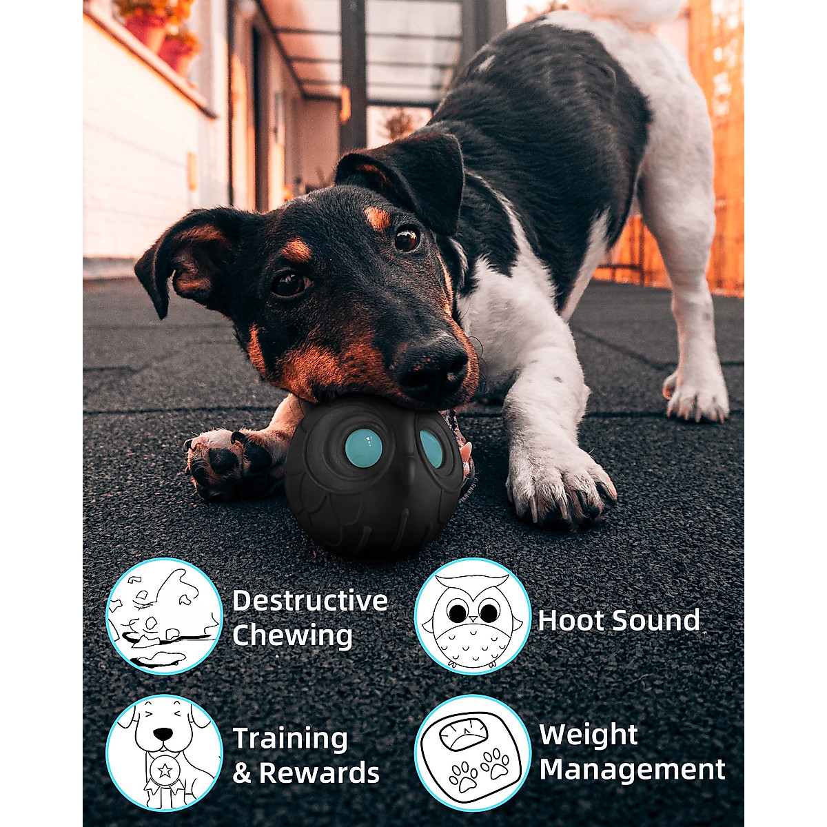 Mewlmart Giggle Ball for Dogs Owl Toys for Aggressive Chewers Punching balls Gift for Dog Medium Large Dogs Jolly Ball Natural Rubber Cute Fun Owl Hoot (Death Knight)