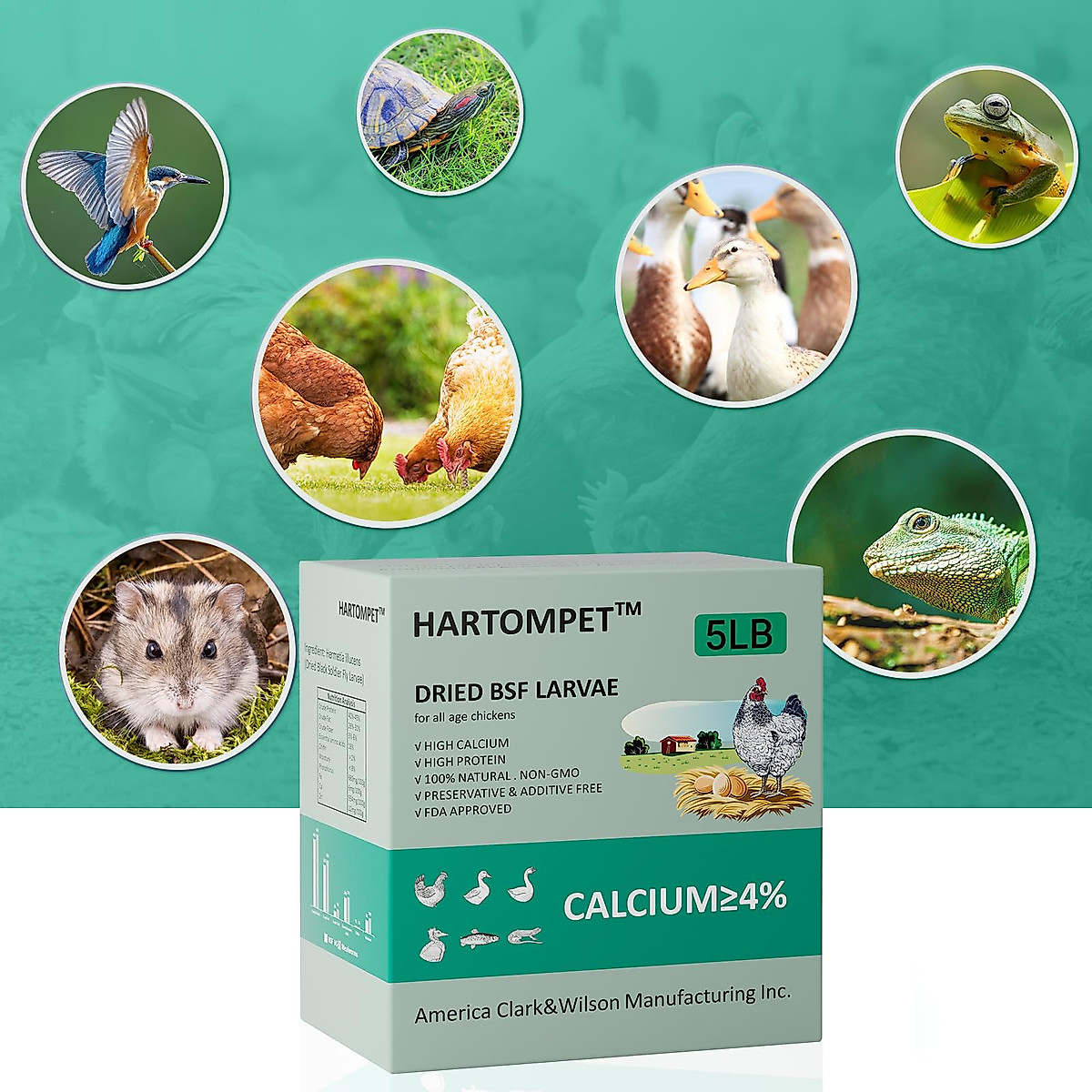 GRUBSFARM HARTOMPET Better Than Dried Mealworms for Chickens 5 lbs - 85X Calcium Than MealWorms - Non-GMO Chicken Feed Additive - Black Soldier Fly Larvae Treats for Hens, Ducks, Wild Birds