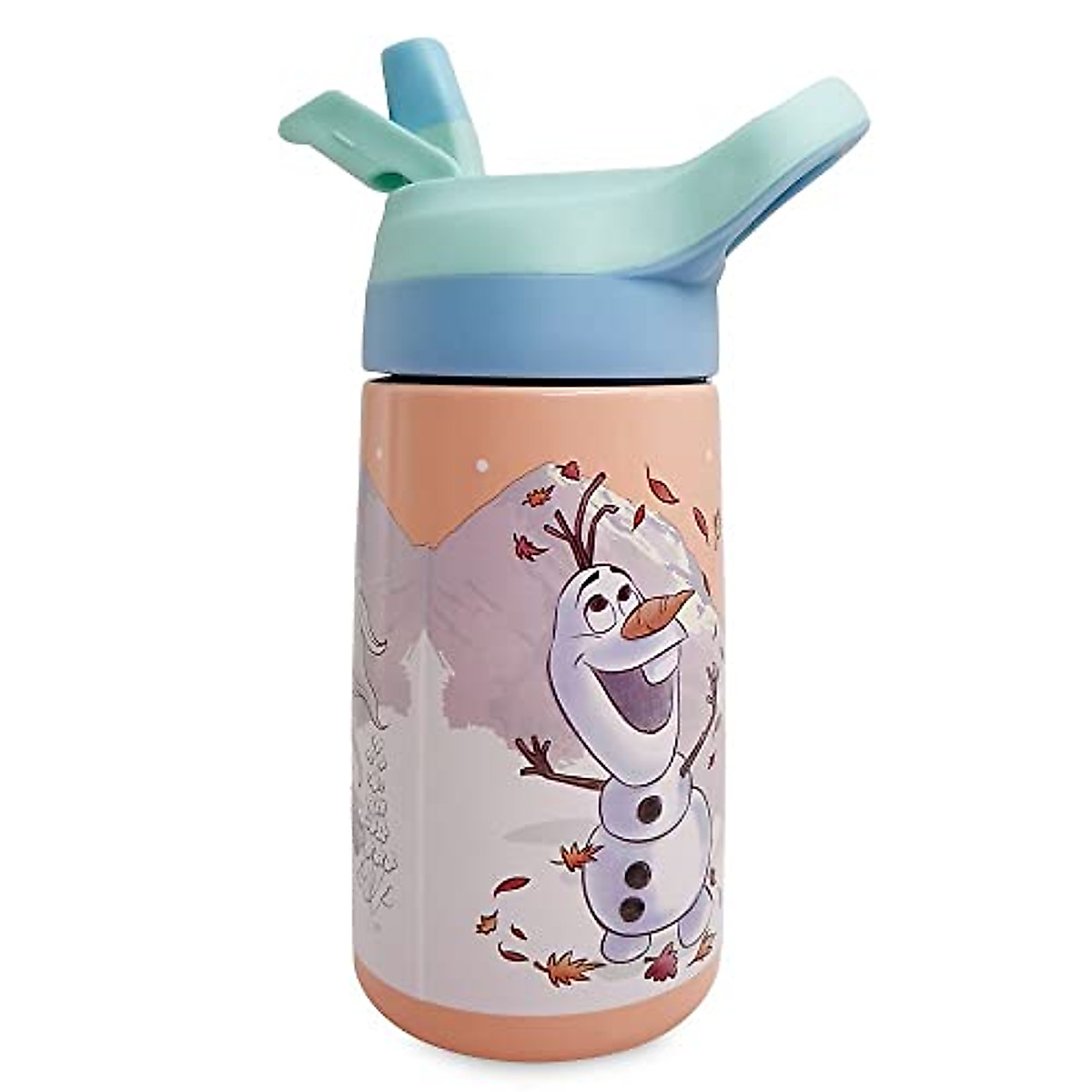 Disney Frozen Stainless Steel Water Bottle with Built-In Straw