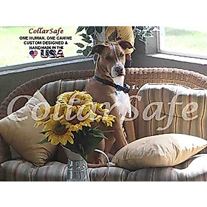 CollarSafe 1" Wide Basic Economical Replacement Collar - FITS PetSafe PIF-275, Microlite & Many Other Modules Requiring 2-Holes 1-3/16” Apart to Attach – PLS Read Listing - View Photos