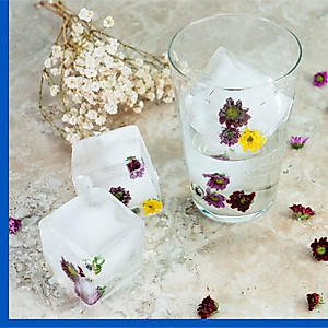 Samuelworld Large Silicone Ice Cube Tray Molds, 2-Pack, Big 2 Inch Cubes - Food Grade, Flexible, 8 Cavity Easy Release Slow Melting Ice for Whiskey, Cocktails, Gifts & Christmas - Black