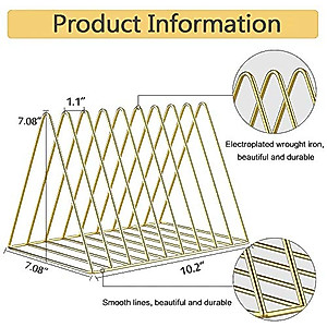 Pashion Vinyl Record Stand Holder, Desktop Album Storage Rack, Triangle Vinyl Record Shelf Display Vinyl Coated Metal Wire Rack Functional & Stylish Display Rack for Office Home