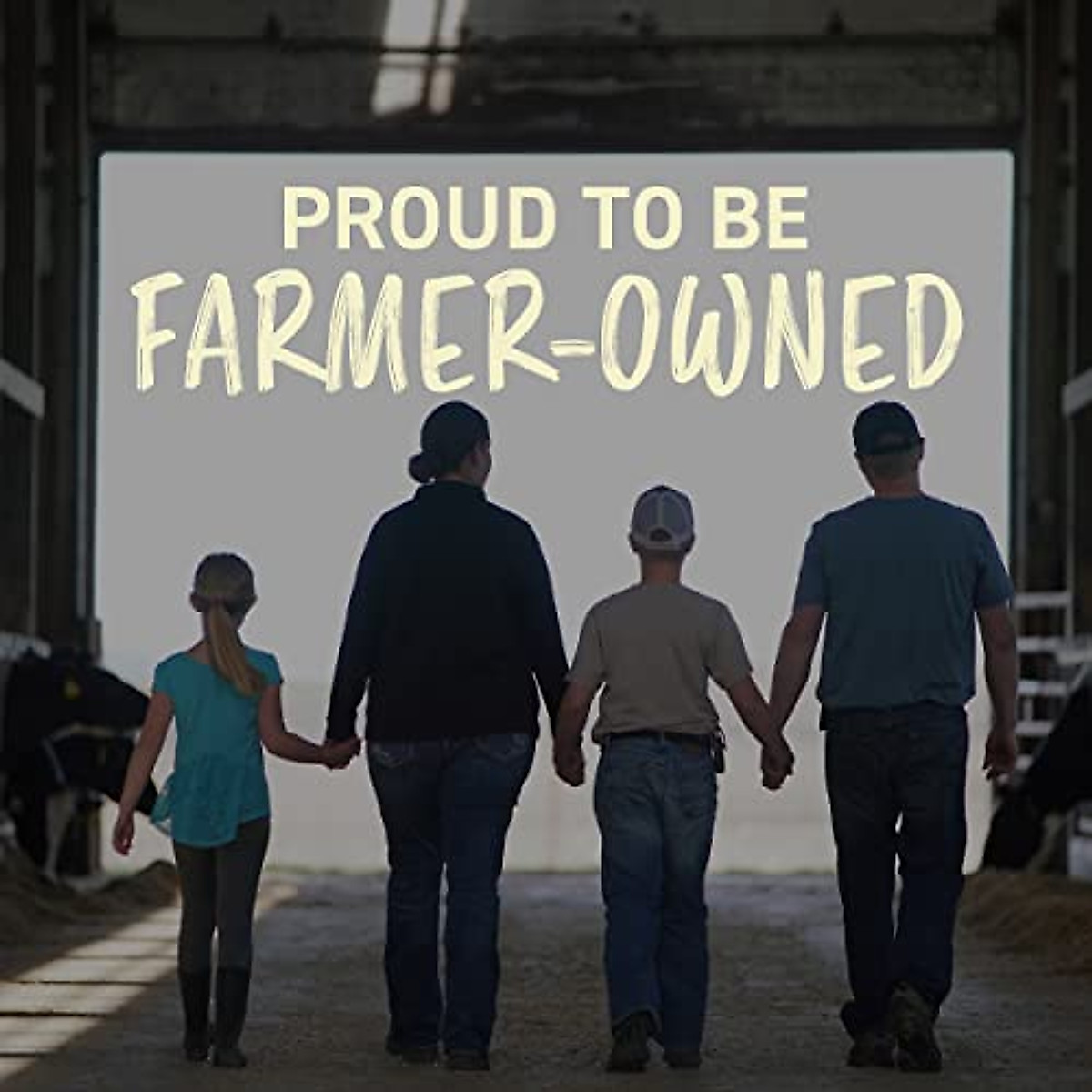 Land O Lakes Butter with Olive Oil & Sea Salt, Spreadable, 13 oz tub