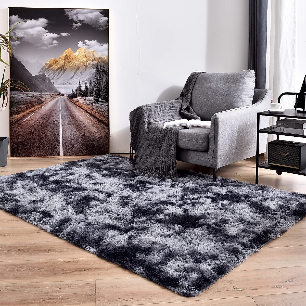 Temedara 3x5 Feet Area Rug,Non-Slip Shag Rugs for Bedroom,Small Fluffy Plush Rugs for Living Room,Tie-Dyed Dark Grey Shaggy College Dorm Room Rug,Modern Fuzzy Carpet for Kids Boys Room