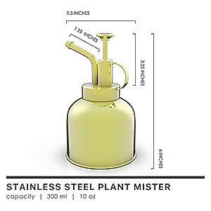 LOOPSEED Stainless Steel Plant Mister Spray Bottle Watering Can for Indoor Plants Succulent Bonsai Garden Spray Houseplant Spritzer Modern Garden Tools 10oz/300ml (GOLD)