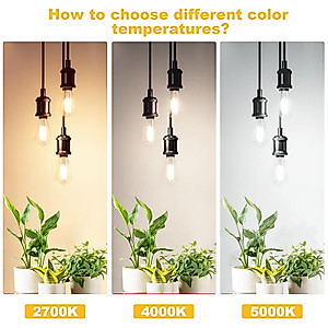 Svater 4-Pack Vintage LED Edison Bulbs 60W Equivalent, 6W ST58 2700K Warm White Antique LED Filament Bulbs, E26 Medium Base, Clear Glass Style for Home and Commercial, Dimmable