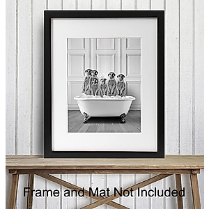 Bathroom Wall Decor - Funny Bathroom Decor - Bathroom Wall Art - Meerkat Bathroom Decorations Pictures - Bath Wall Decor - Modern Bathroom Accessories - Guest Bathroom - Restroom Sign - Powder Room