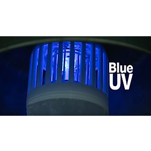 2 PACK Bug Zapper Light Bulb 2 in 1 LED Electronic Light Trap for Fruit Flies, Mosquito, Bug, Insect and Fly Control Killer - Traps