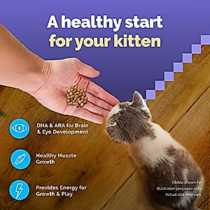 Blue Buffalo Cat Food for Kittens, Natural Chicken Recipe, High Protein, Dry Cat Food, 5 lb bag