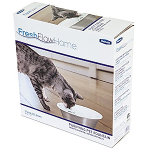 Petmate Fresh Flow Home Fountain, 50 oz