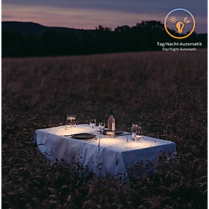 SONNENGLAS Classic 32oz | Original Award-Winning Solar Lantern|Indoor and Outdoor | With USB Charging l Glass and Stainless Steel | Decorate Inside | Fair Trade from South Africa