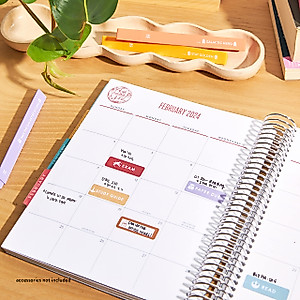 Erin Condren 7x9 Coiled Academic Planner (July 2024 - June 2025) - Watercolor Leia Cover, Star Wars Theme, Platinum Coil