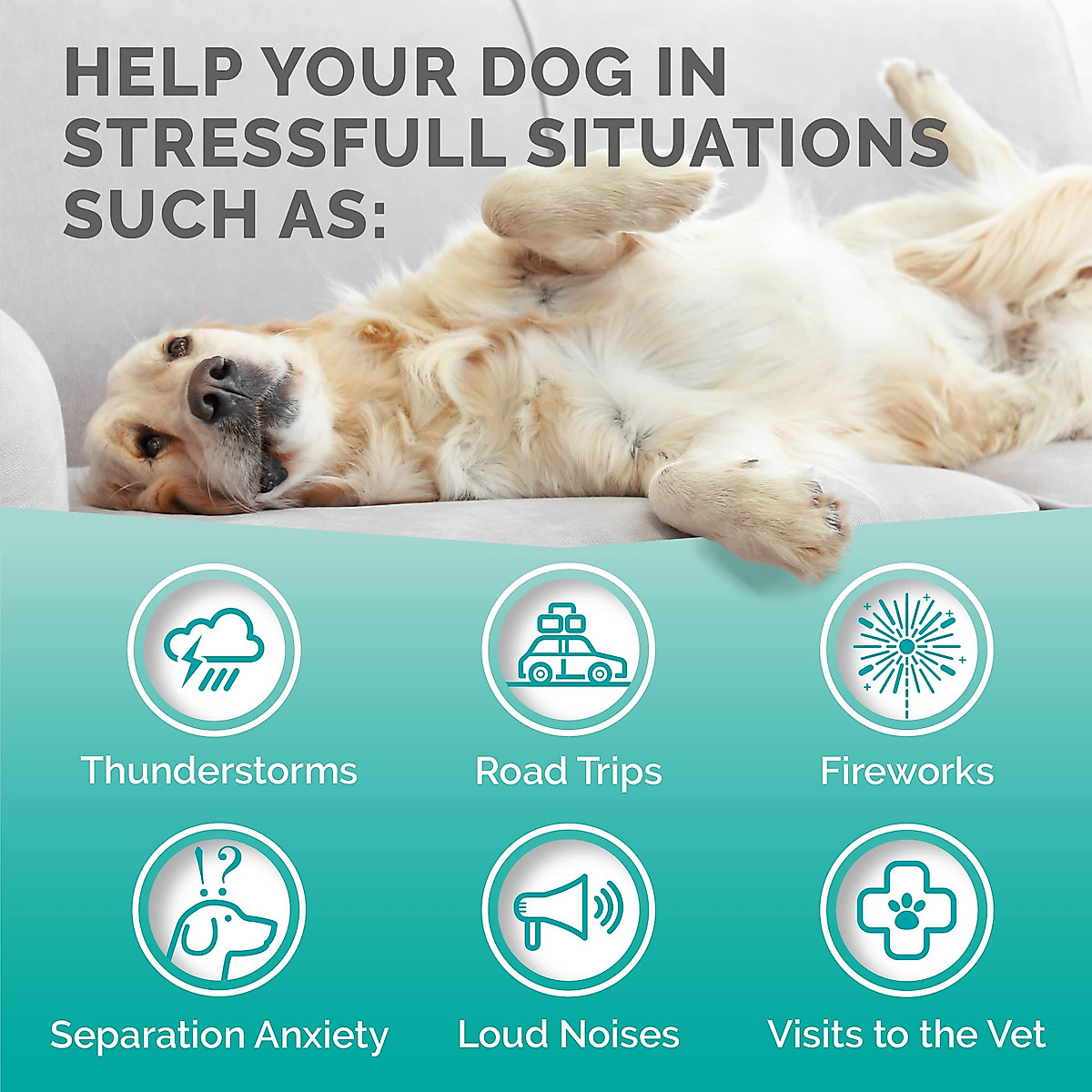 PREMIUM CARE Hemp Calming Chews for Dogs Anxiety - Made in USA, Calming Dog Treats, Dog Calming Chews - Anxiety Relief Treats, Dog Barking Deterrent, Anxiety Relief for Dogs, 60 Duck-Flavored Chews