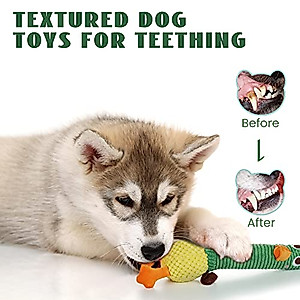 Nocciola 2 in 1 Squeaky Duck Dog Toy: Cute Stuffed Dog Chew Toys with Large Durable Rubber Squeaker for Aggressive Chewers, Large, Medium Small Dogs, Plush Crinkle Pet Puppy Supplies