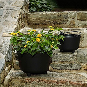 Novelty MFG 48128 Antique Kettle Planter, 12-Inch, Black