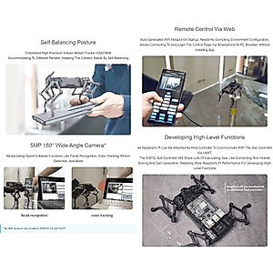 waveshare WAVEGO 12-DOF Bionic Dog-Like Robot Open Source for ESP32 and PI4B Facial Recognition Color Tracking Motion Detection Compatible with PI4B-4GB (Included) (26 Items)