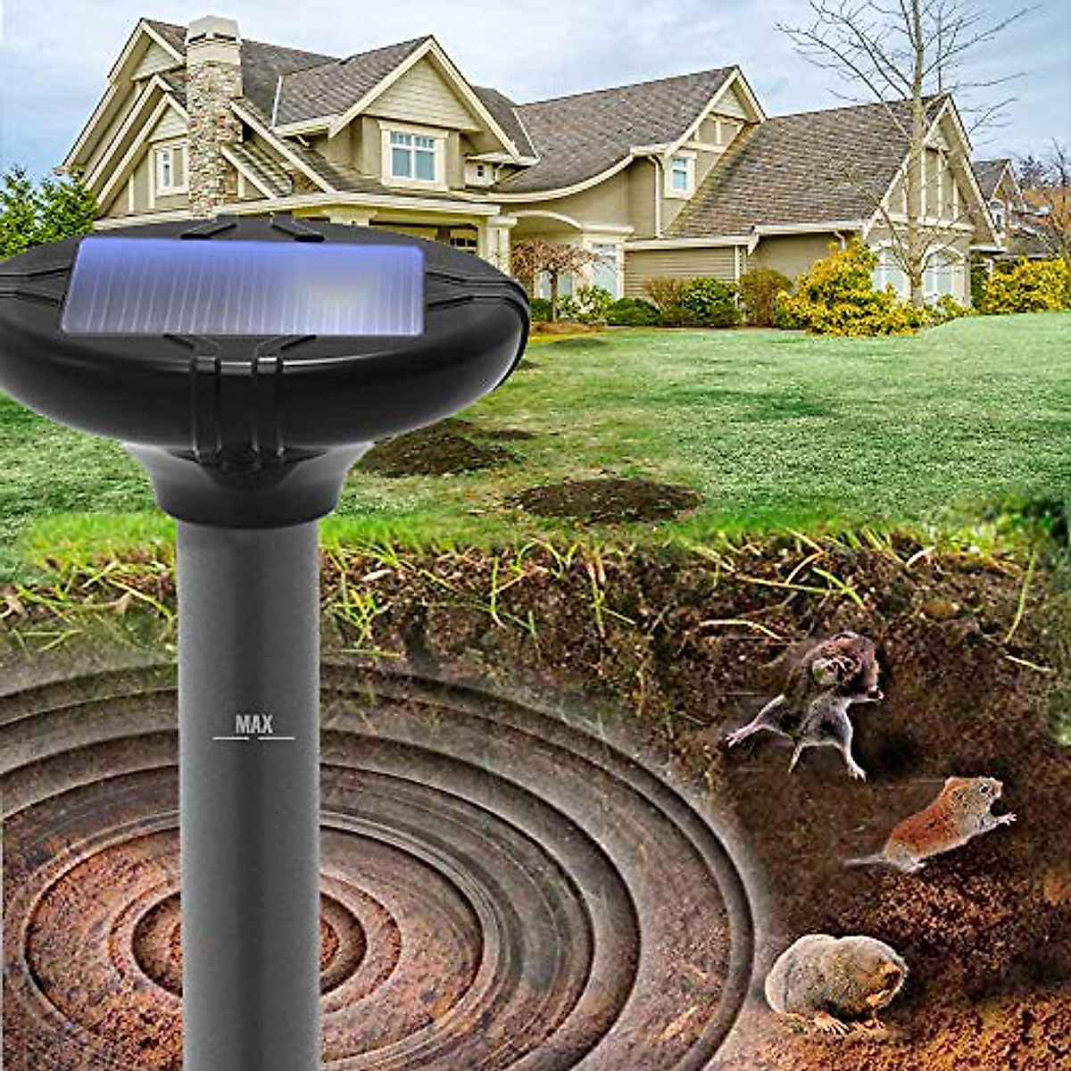 Winpest Solar Powered Snake Repellent for Yard, Snake Away Repellent Safe for Dogs, Get Rid of Snakes Snake Gone - 2 Pack