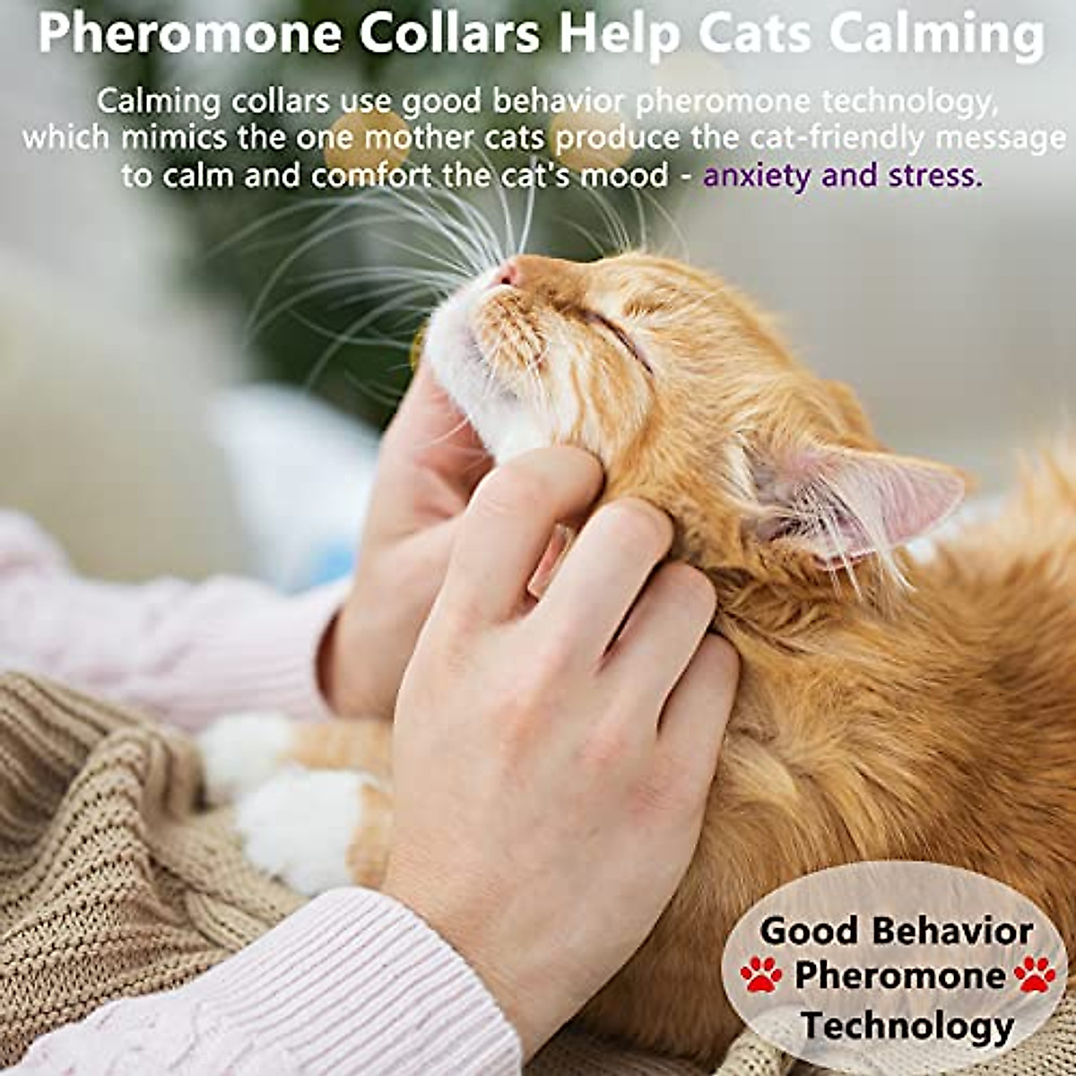 Wustentre 3 Pack Calming Collar for Cats, Cat Calming Collars, Cat Pheromones Calming Collar, Adjustable Cat Anxiety Collar for Cats and Kittens Stress Reliever Relaxing Comfortable Collar (Violet)