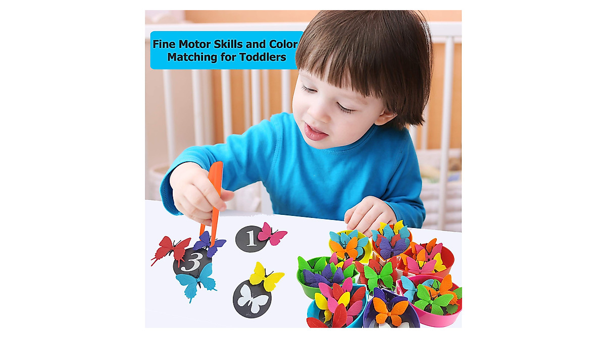 Skoolzy Butterfly Sorting Toys for Toddlers & Preschool Learning