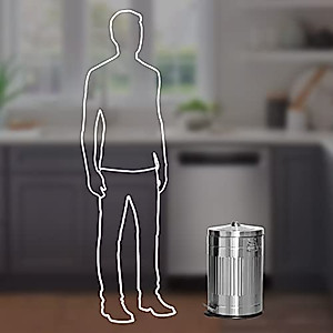 AWENN Step Trash Can with Lid and Pedal 20 Liter / 5.3 Gallon, Vintage Garbage Bin for Kitchen, Office, Home, Pet Waste Container - Retro Metal Wastebasket W/Step Pedal, Silver