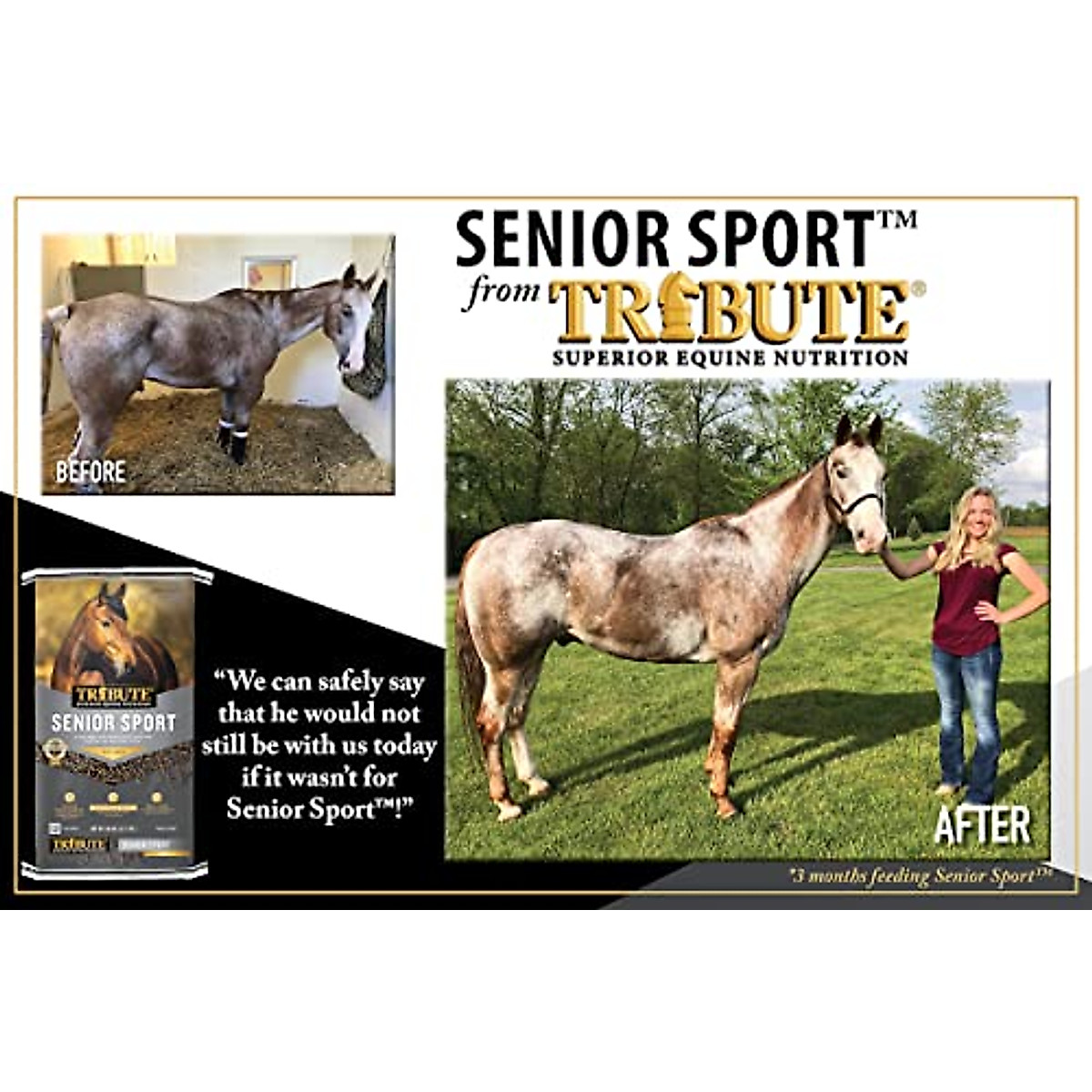 Senior Sport Textured Feed for Horses