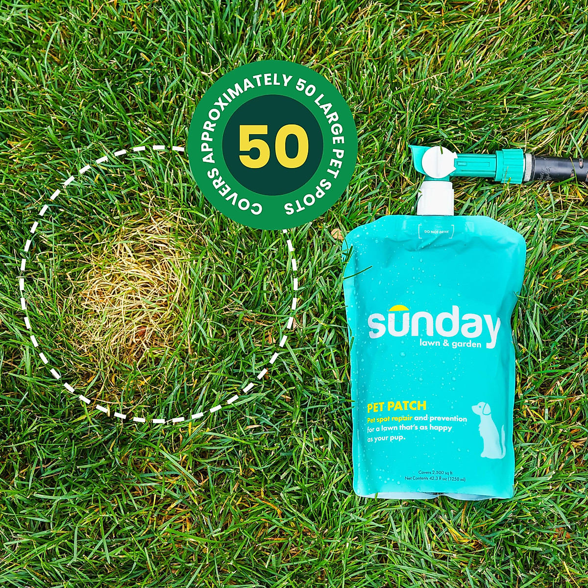 Sunday Pet Patch - Lawn Spots Repair - Repair & Prevent Grass Pet Spots - Easy Hose-On Formula - Covers Up to 2,500 sq ft - 2 Pack - 42 Fl Oz