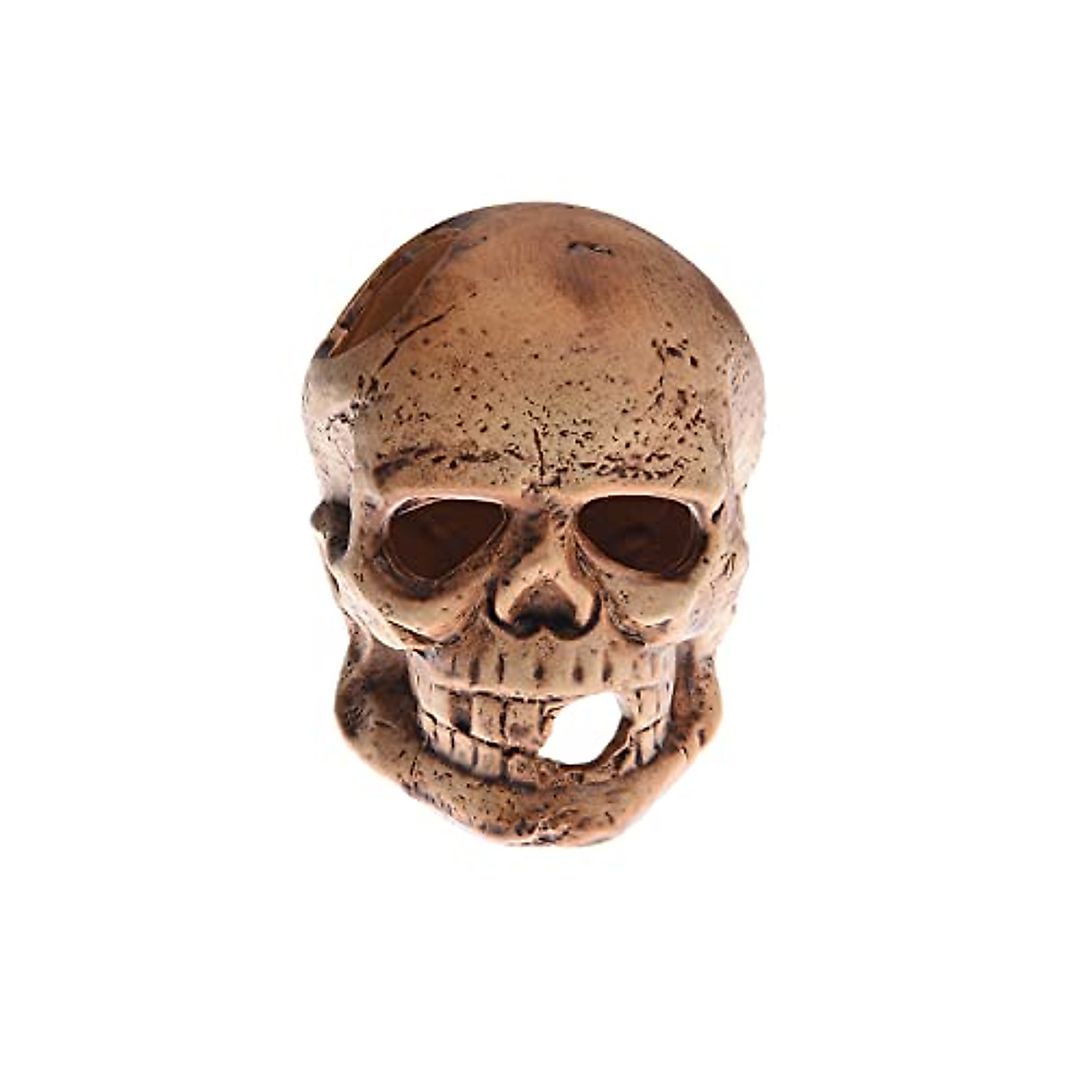 ALEGI Aquarium Decoration Hideaway Rock Cave for Betta Shrimp Cichlid Hiding Breeding Spawning (Ceramic Skull)