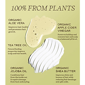 Ingreendients Non Toxic Vegan Shampoo and Conditioner with Organic Ingredients, Apple Cider Vinegar, Tea Tree Oil - Color Safe, Paraben & Gluten Free, Silicone & Sulfate Free, pH Balanced