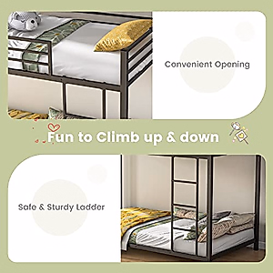 Giantex Metal Bunk Bed Twin Over Twin, Low Profile Bunk Bed Frame with Ladder & Full Length Guardrail, Space-Saving Twin Size Bed Frame for Kids Teens, No Box Spring Needed, Black