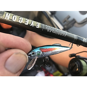 St. Croix Rods Eyecon Spinning Rod, 6'6"(EYS66MLF), Walter Green