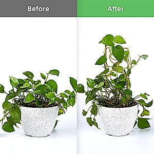 2 Pack Metal Plant Trellis for Climbing Plants Indoor,14 Inch Garden Small Trellis for Potted Plants,Moon Phase Houseplant Trellis for Pothos Monstera(Gold)