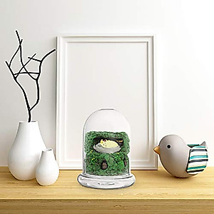 Cabilock Glass Candle Holder Dome Cloche Clear Glass Cloche Bell Jar Display Dome Candle Holder Candlestick Cup Tealight Holder Micro Landscape