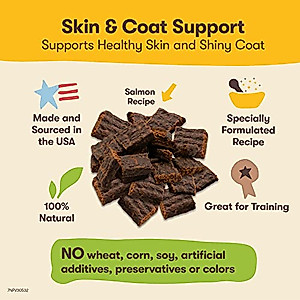 Pet 'n Shape Skin and Coat - Salmon Flavor 12 oz