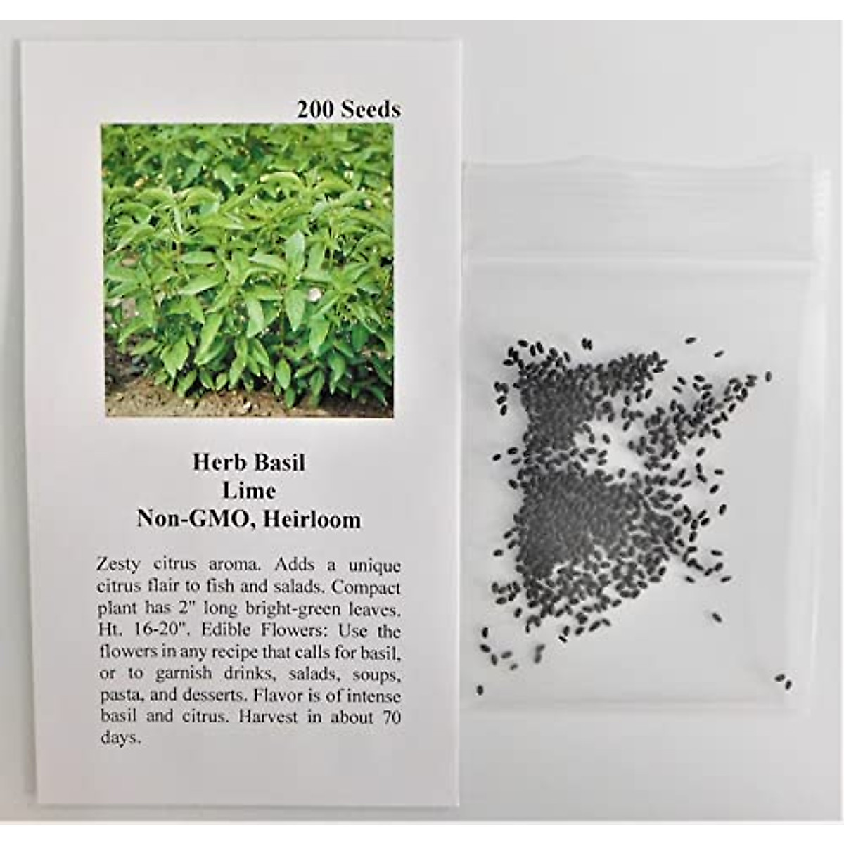 David's Garden Seeds Herb Basil Lime FBA-5987 (Green) 200 Non-GMO, Heirloom Seeds