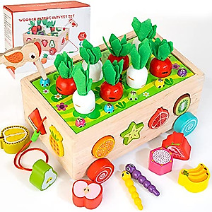 Winique Wooden Montessori Toys for 1 2 Year Old, Educational Learning Toys for Boys Girls, Shape Sorter Toddler Toys Gifts for 2 Year Old Girl Preschool Fine Motor Skills