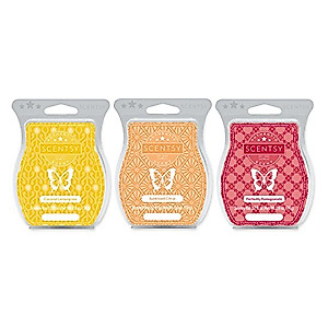 Scentsy Multi-Pack - Coconut Lemongrass, Sunkissed Citrus, Perfectly Pomegranate