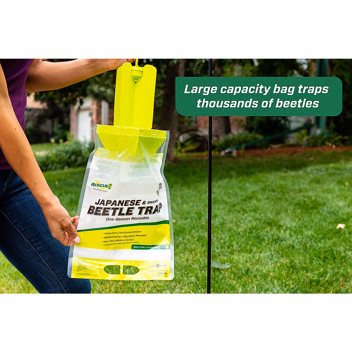 RESCUE! Japanese Beetle Trap – Reusable Bag