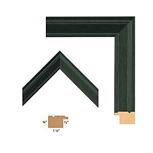 Automobile License Plate Tag (NOT Included) Black Wall Display Picture Frame with Acrylic Front Made in USA