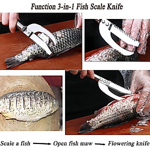 PCTC Stainless Steel Fish Maw Knife,3 In 1 Fish Maw Knife, Multifunction Fish Scale Knife fish scale remover Household Kitchen Fish Scale Tool