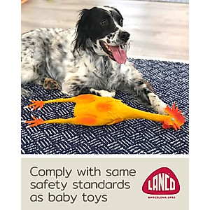 Rubber Chicken Dog Toys - Natural Rubber (Latex) - Lead-Free Chemical-Free - Handpainted - Soft Unstuffed Squeaky (X Large)
