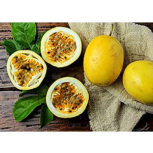 25 Yellow Passion Fruit Tree Seeds for Gardening Indoor, Ornaments Perennial Garden Simple to Grow Pot