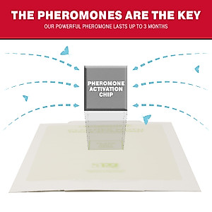 Catchmaster Clothes Moth Traps for House 6PK Wardrobe Closet Storage Glue Traps, Sticky Bug Catcher Indoor with Pheromone, Odorless Adhesive Flying Insect Trap, Protect Clothing, Pet Safe Pest Control